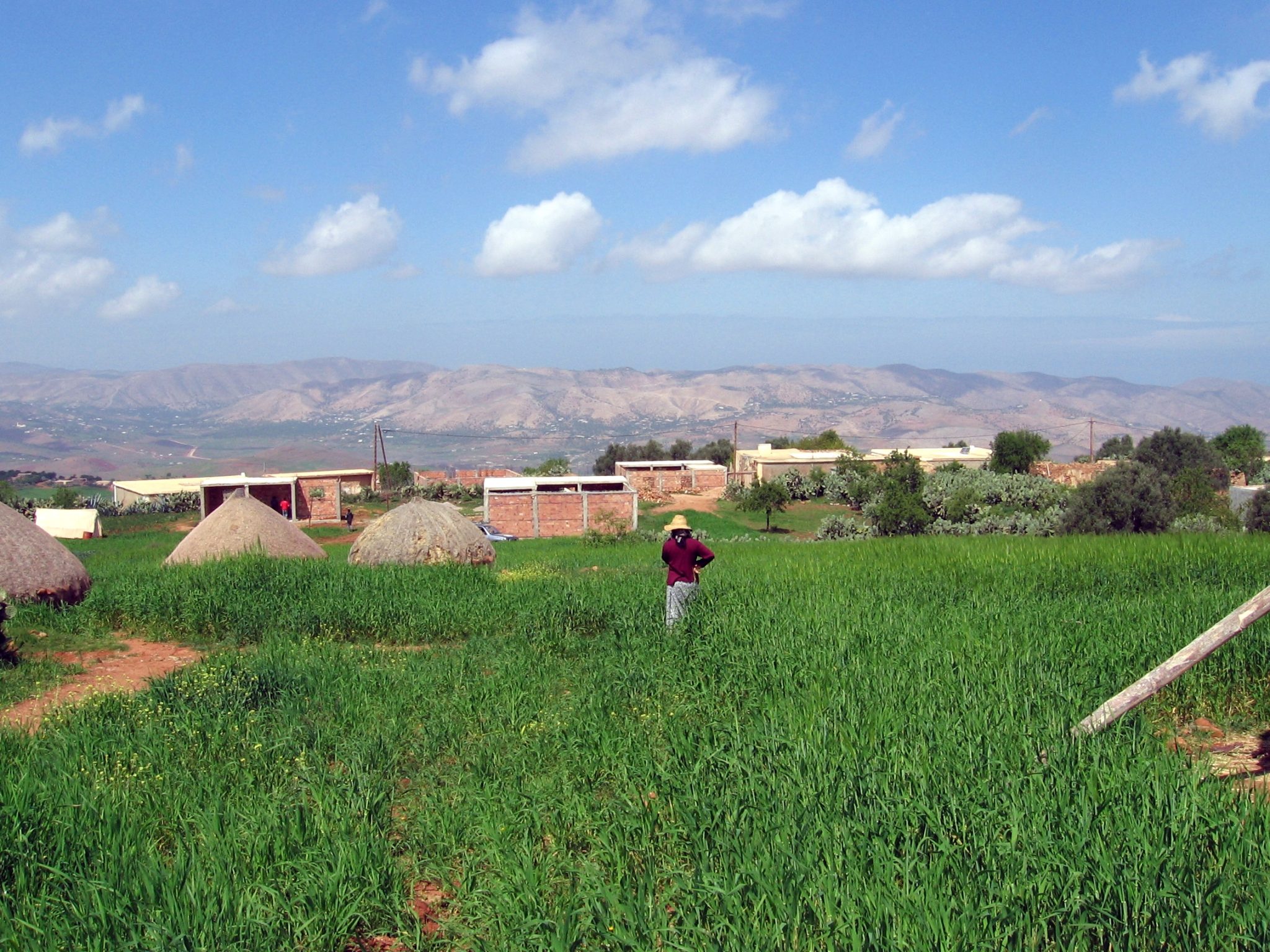 EDI Global Newsletter - Autumn 2021 - EDI Global