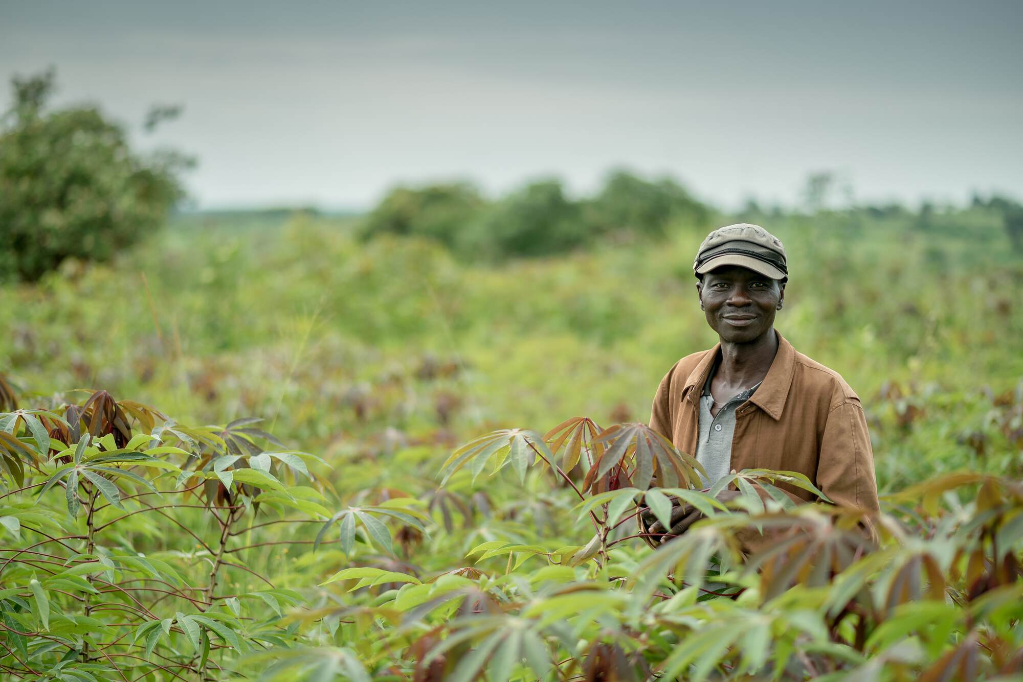 Institutionalizing Monitoring of Crop Variety Adoption using Genotyping ...
