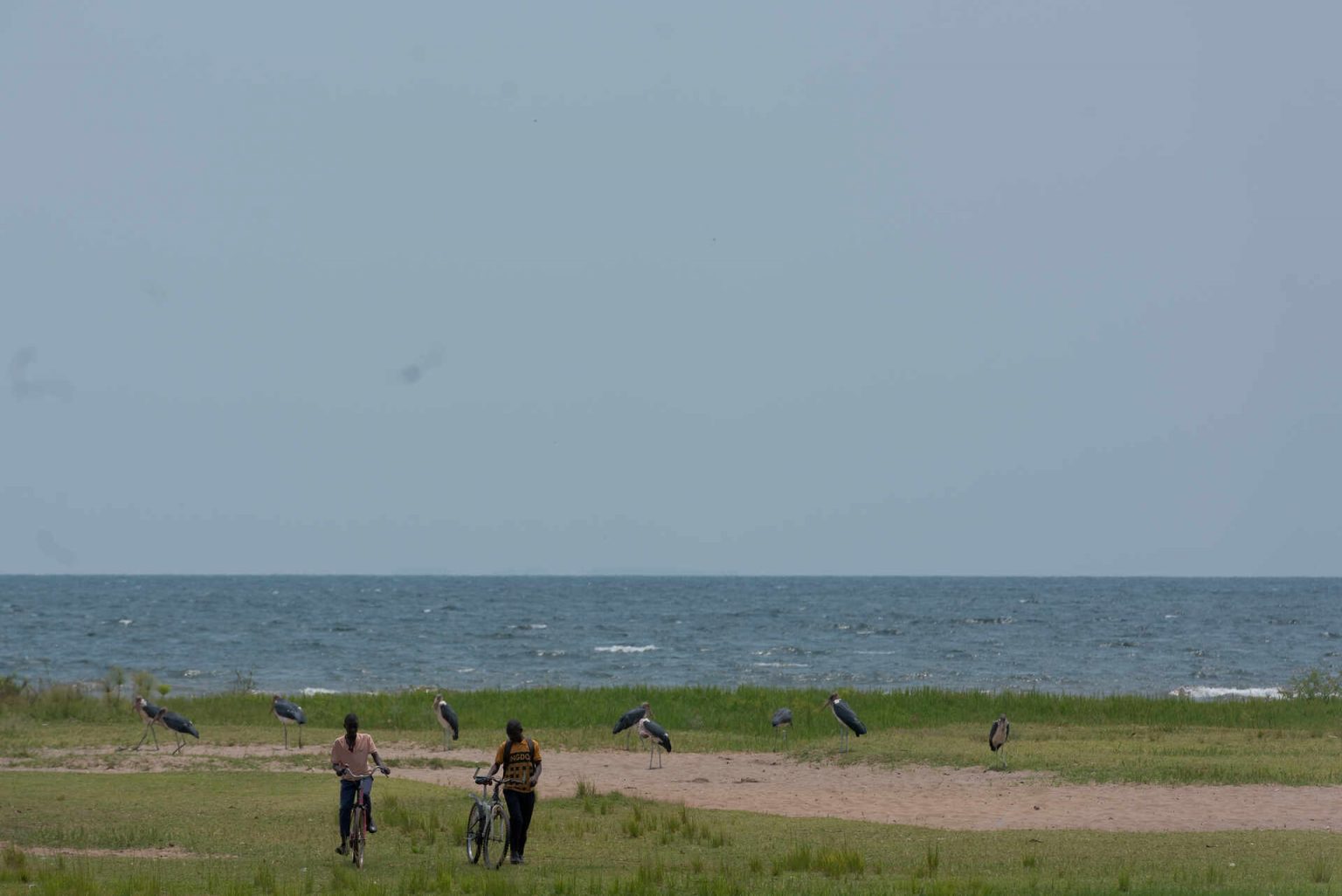 About Us - EDI Global